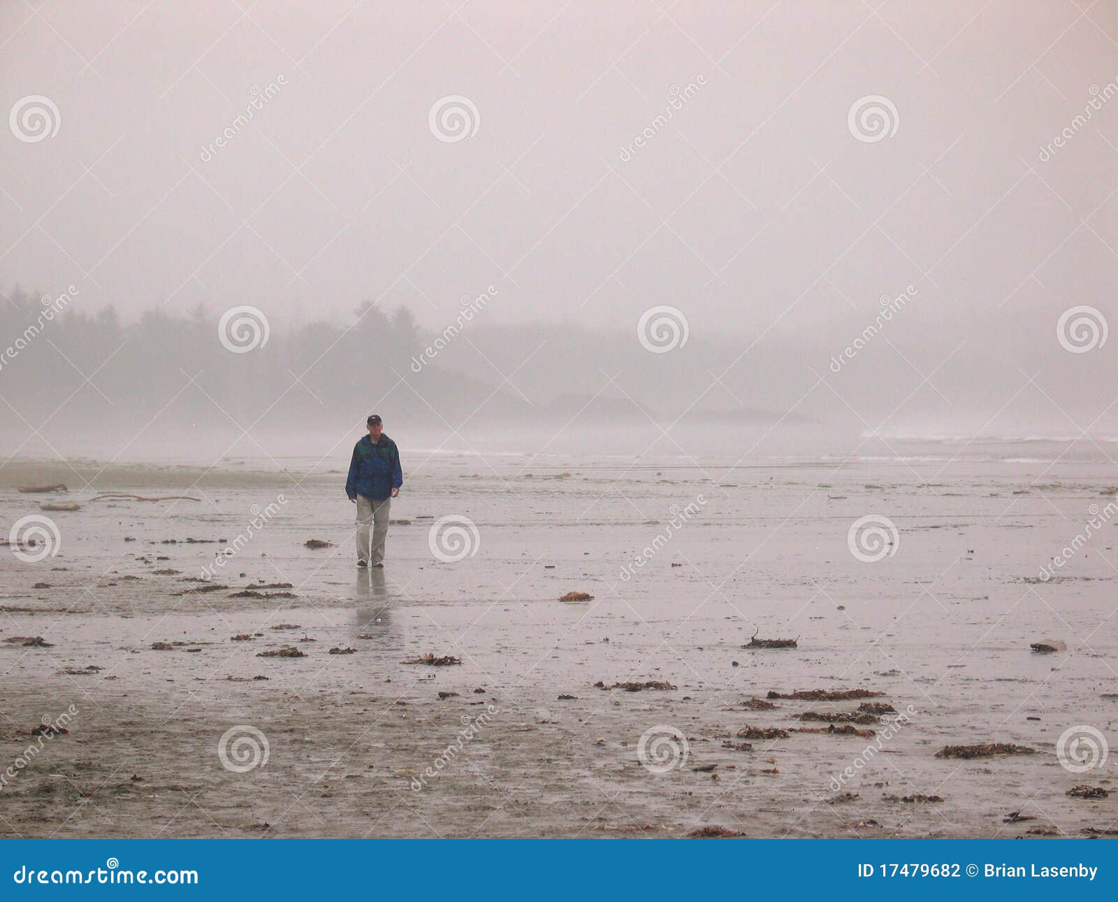 Walking through the Mist on a Beach Stock Photo - Image of leisure ...