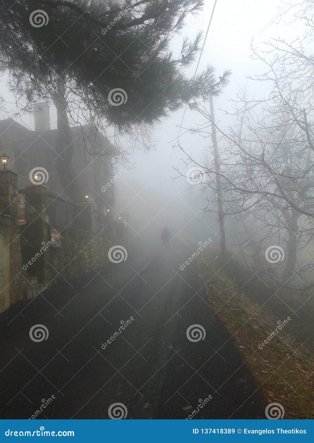 Walking in the mist stock image. Image of cold, street - 137418389