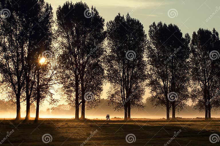 Walking in the Morning Sun 1 Stock Image - Image of rows, lone: 27137649