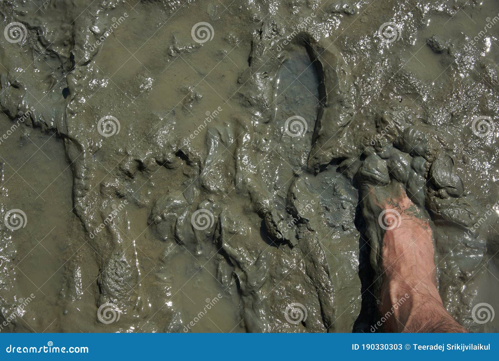 Walking on the Mud during Low Beach Stock Image - Image of detail, clay ...