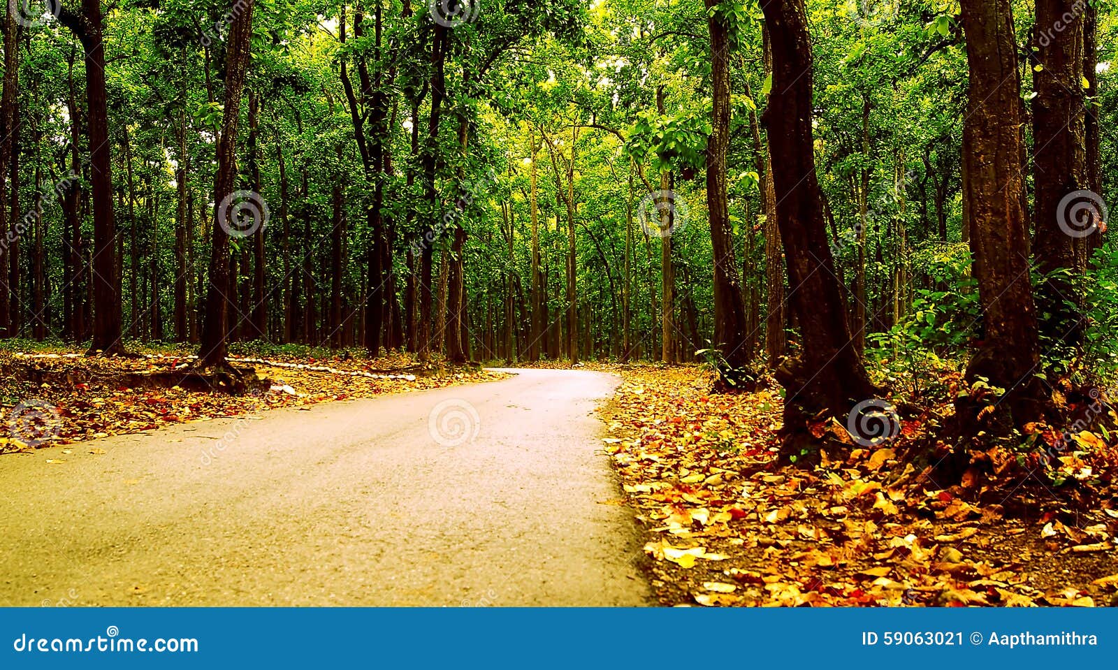 Walking on Natures Path stock image. Image of marking - 59063021