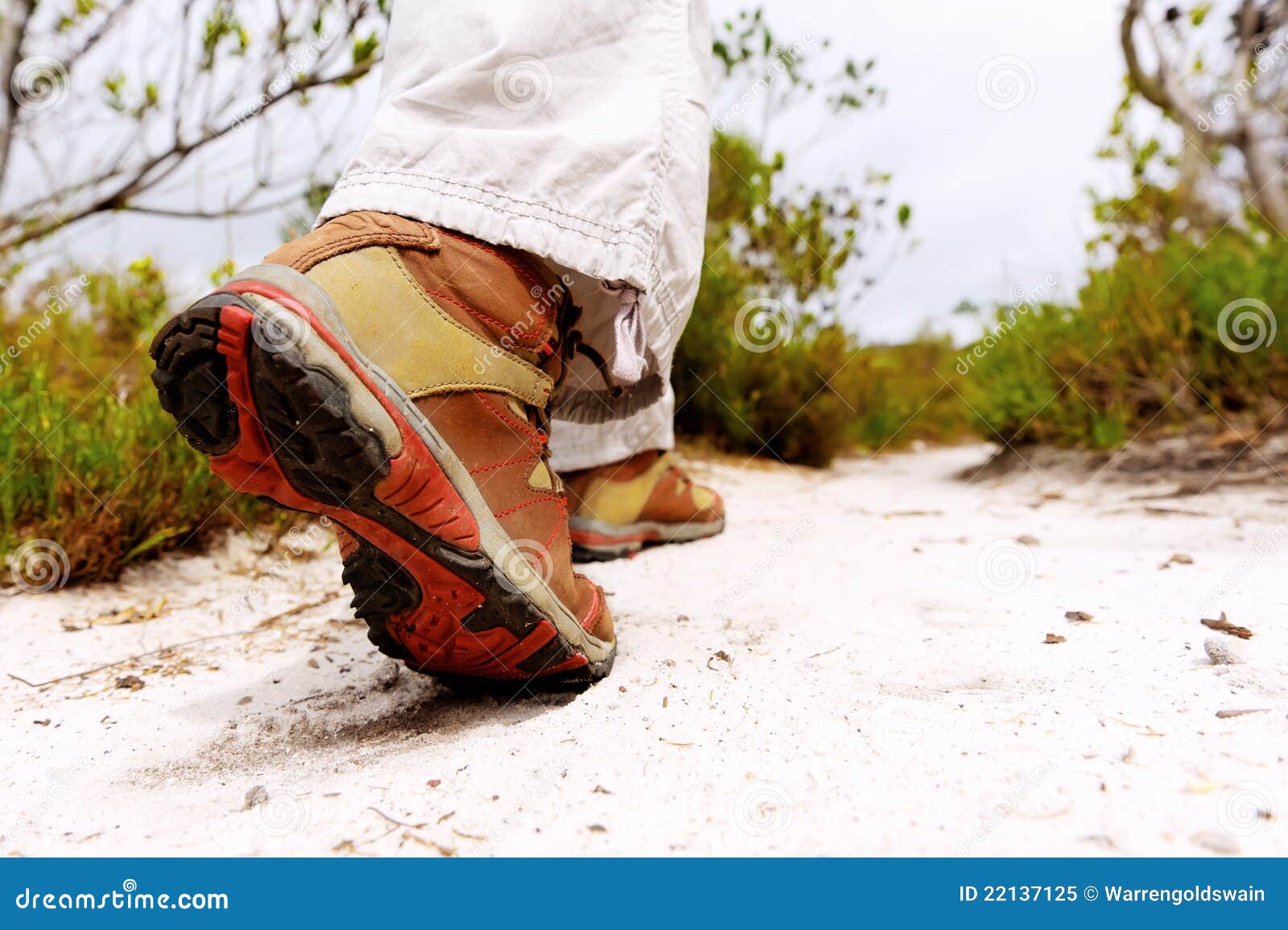 Walking outdoors stock image. Image of holiday, health - 22137125