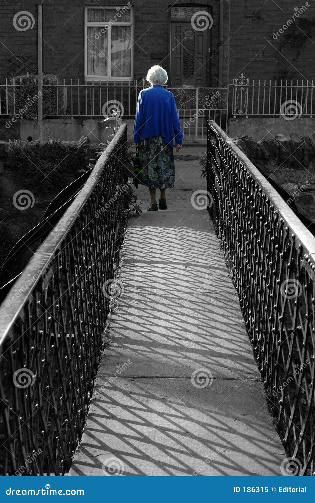 Walking over stock image. Image of senior, span, branch - 186315
