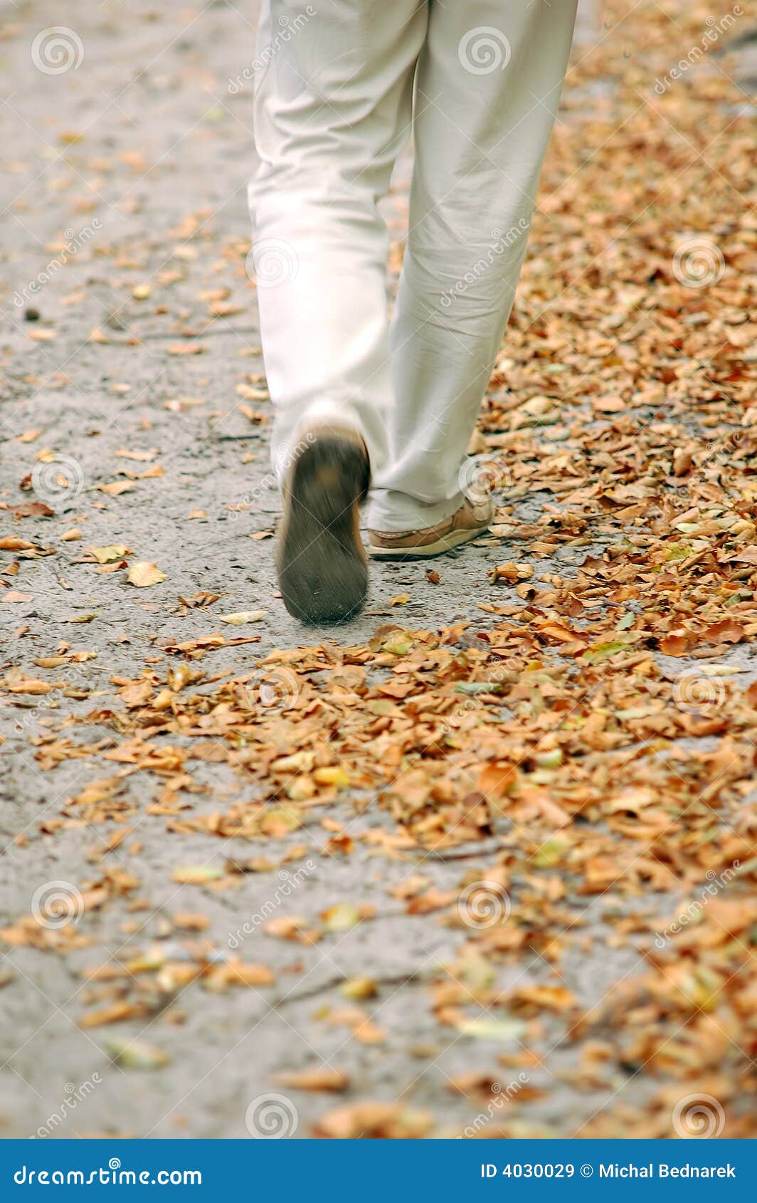 Walking through park stock image. Image of recreational - 4030029