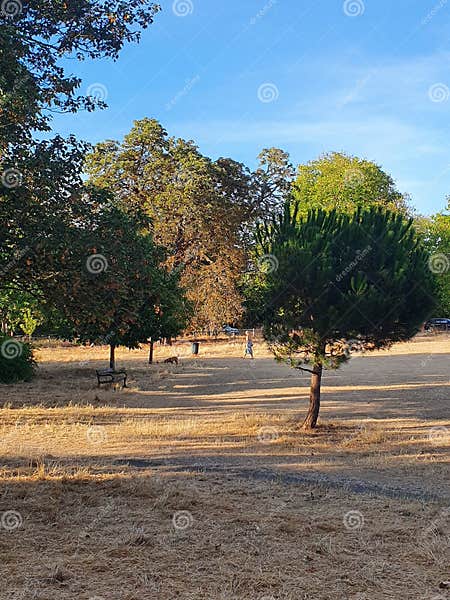 Walking in the Park, Beautiful Colours Stock Photo - Image of colours ...