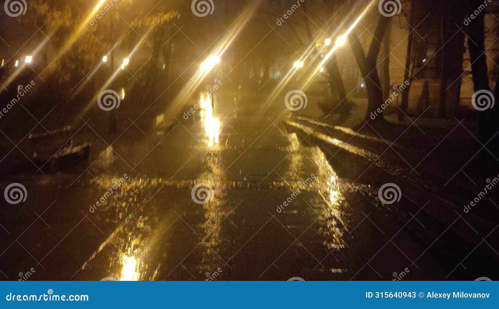 Walking through a Park at Night in the Pouring Rain Stock Image - Image ...