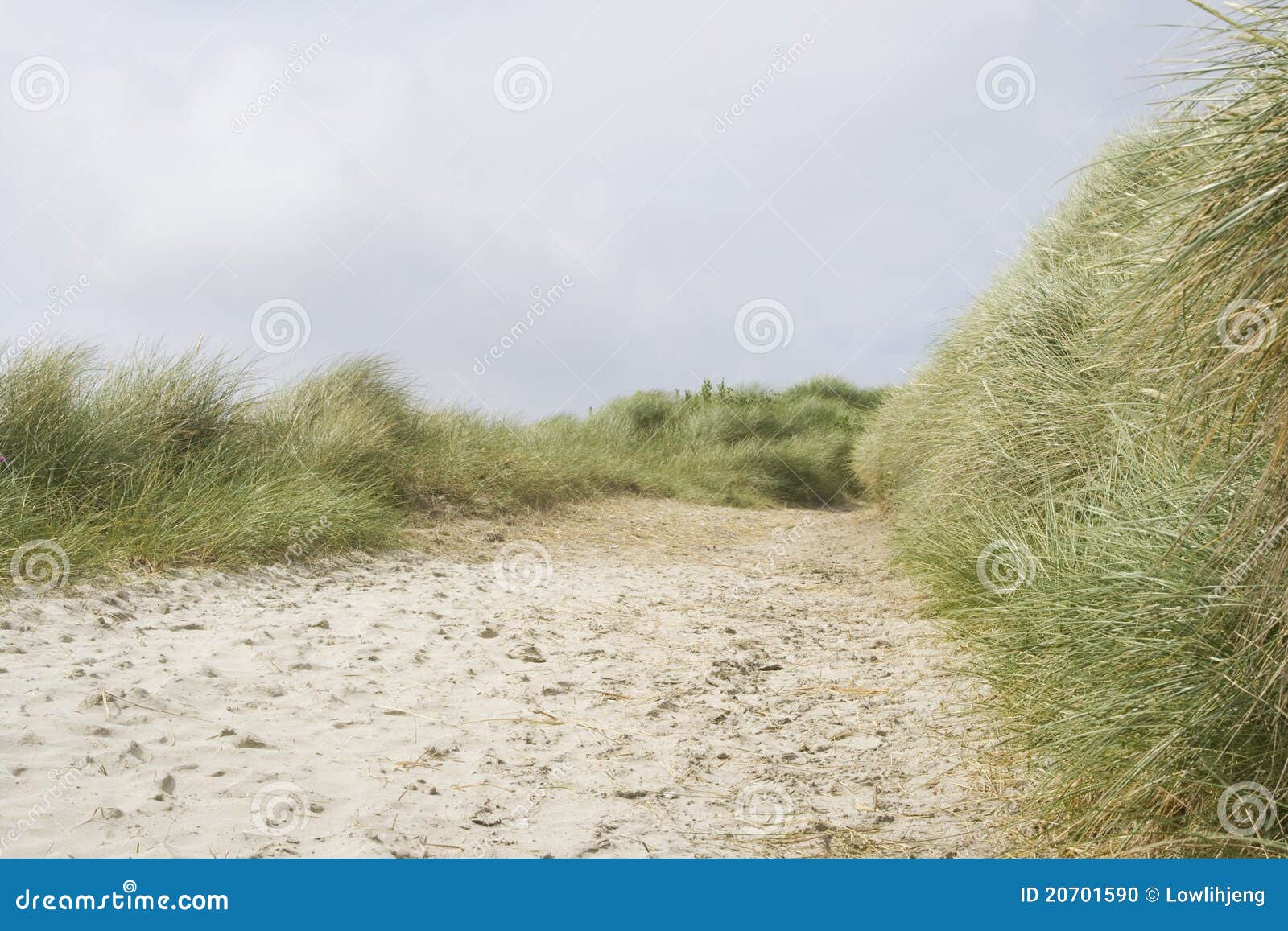 Walking path stock photo. Image of gray, explore, nature - 20701590