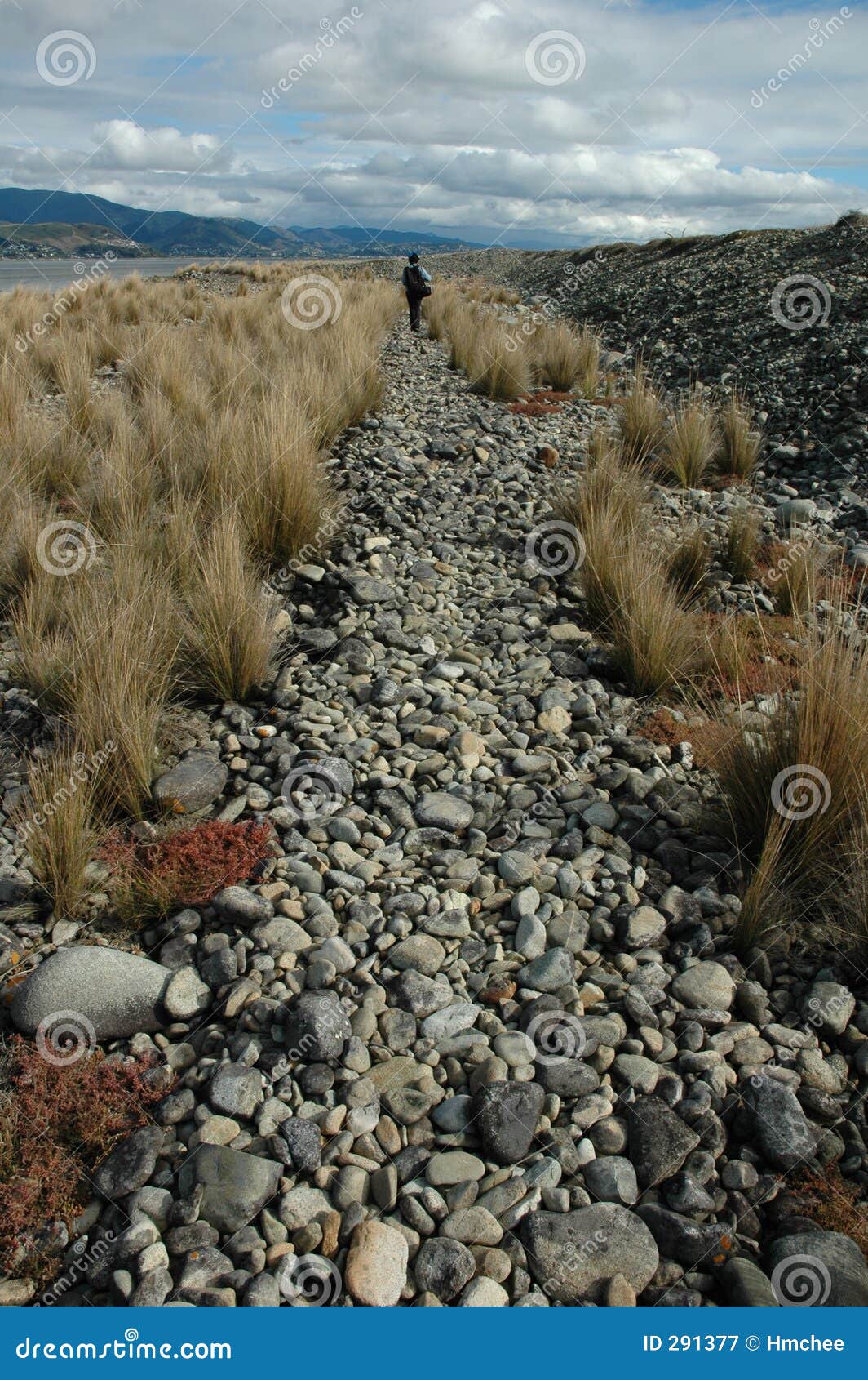 Walking path stock image. Image of landscape, nature, outdoor - 291377