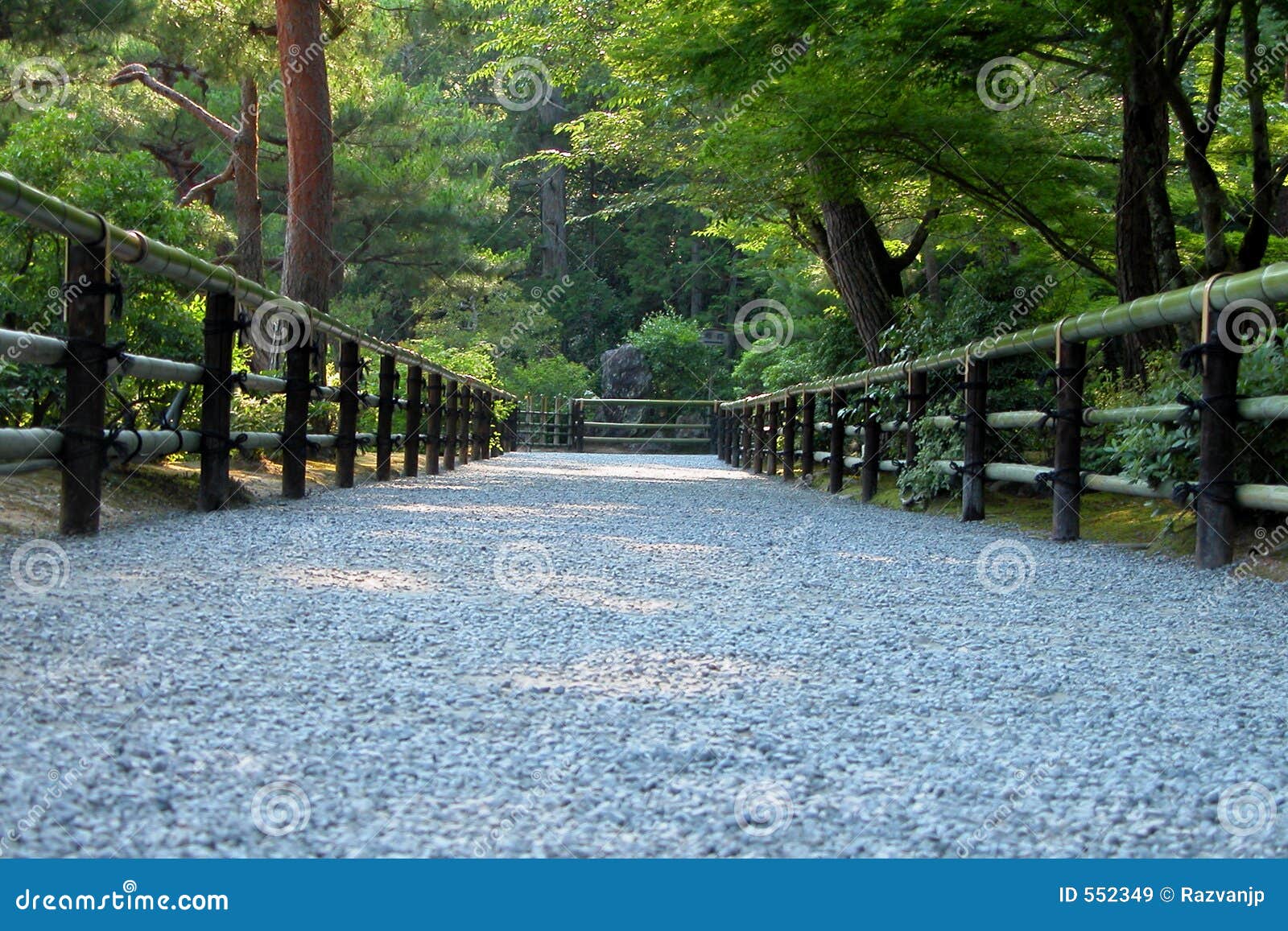 Walking path stock image. Image of temple, forest, lines - 552349