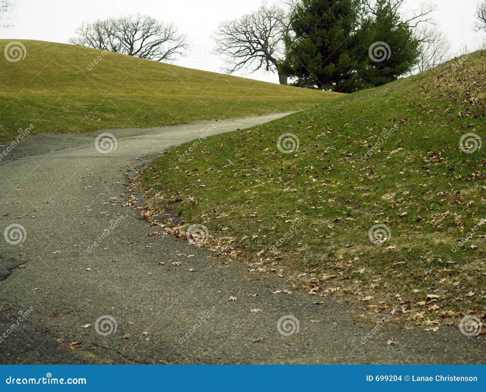 Walking Path stock photo. Image of autumn, leaves, walking - 699204
