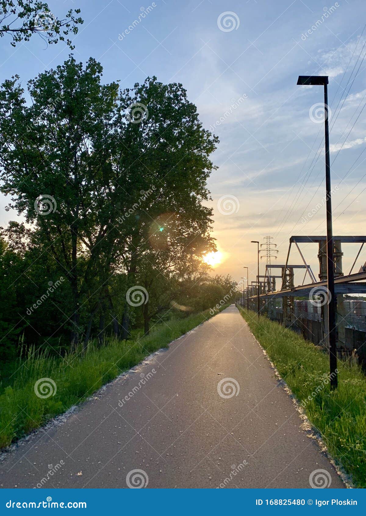 Walking Path Along the Trees Stock Photo - Image of park, architecture ...