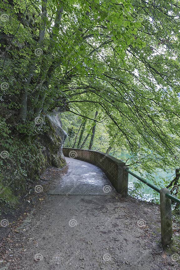 Walking Path Around Lake Bled Stock Photo - Image of scenic, trail ...