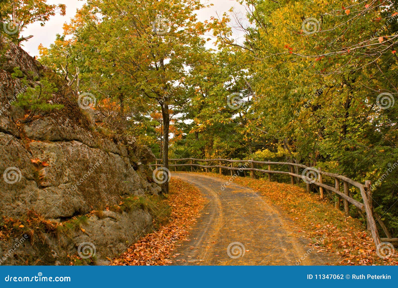 Walking Path in Autumn stock photo. Image of york, valley - 11347062