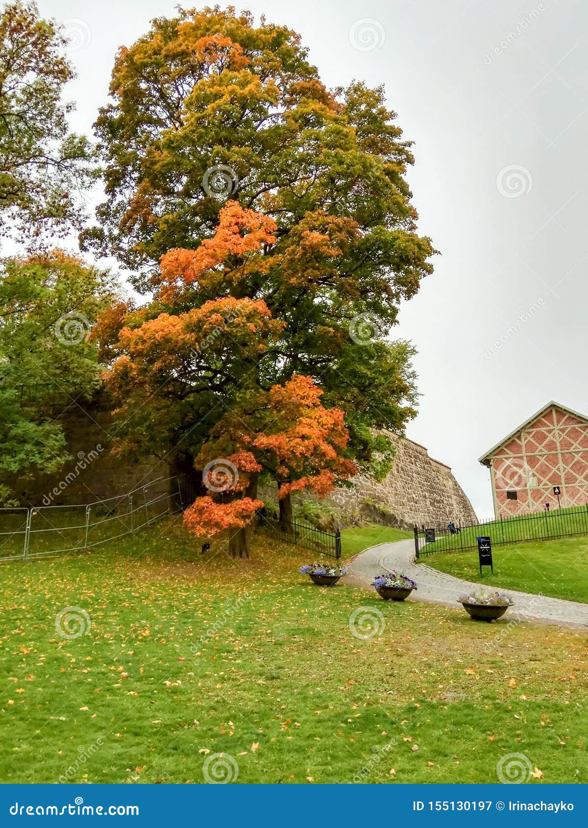 Walking Path in the Autumn City Park. Oslo, Norway Stock Image - Image ...