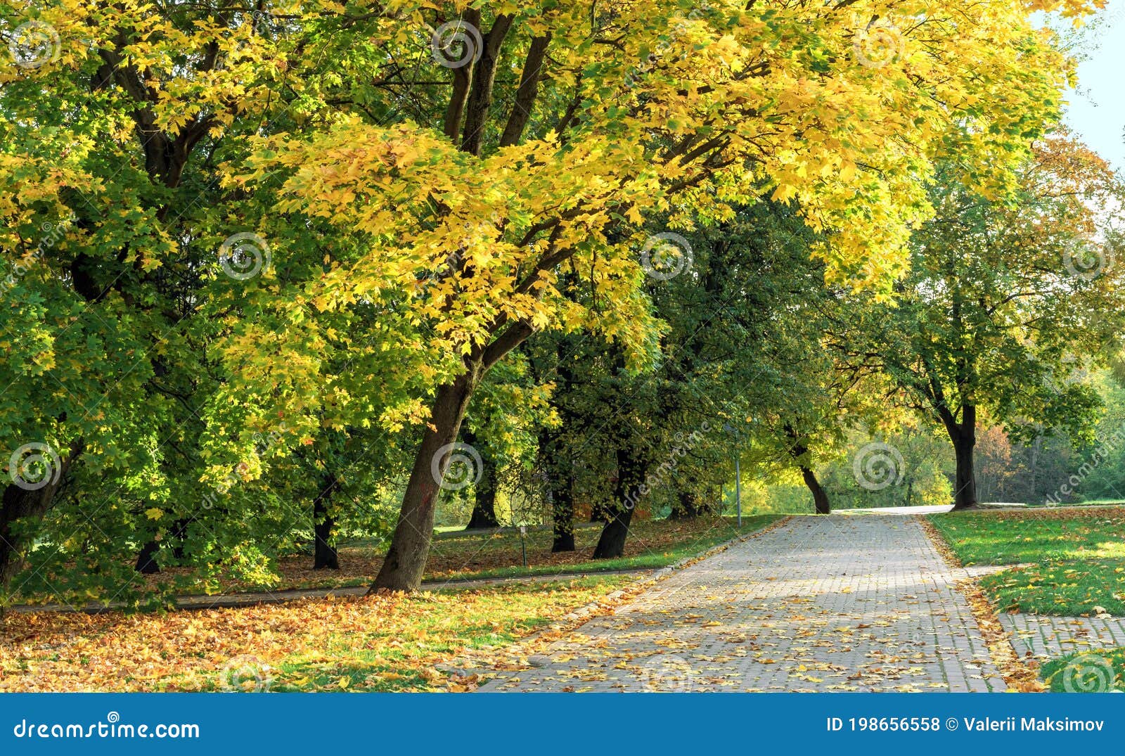 Walking Path in the Autumn Park. Picturesque Autumn Landscape Stock ...