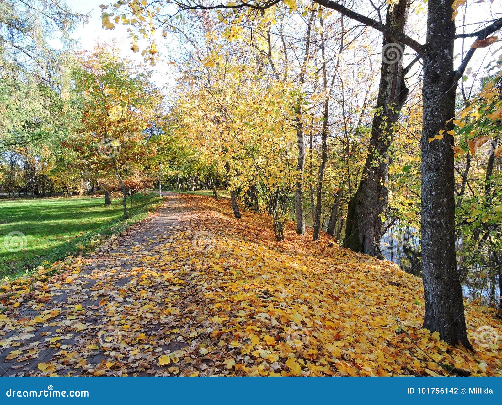 Walking Path and Autumn Trees, Lithuania Stock Photo - Image of river ...