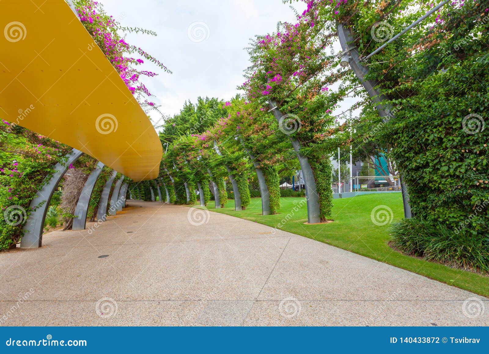 Walking Path among Beautiful Greenery. Stock Photo - Image of ...
