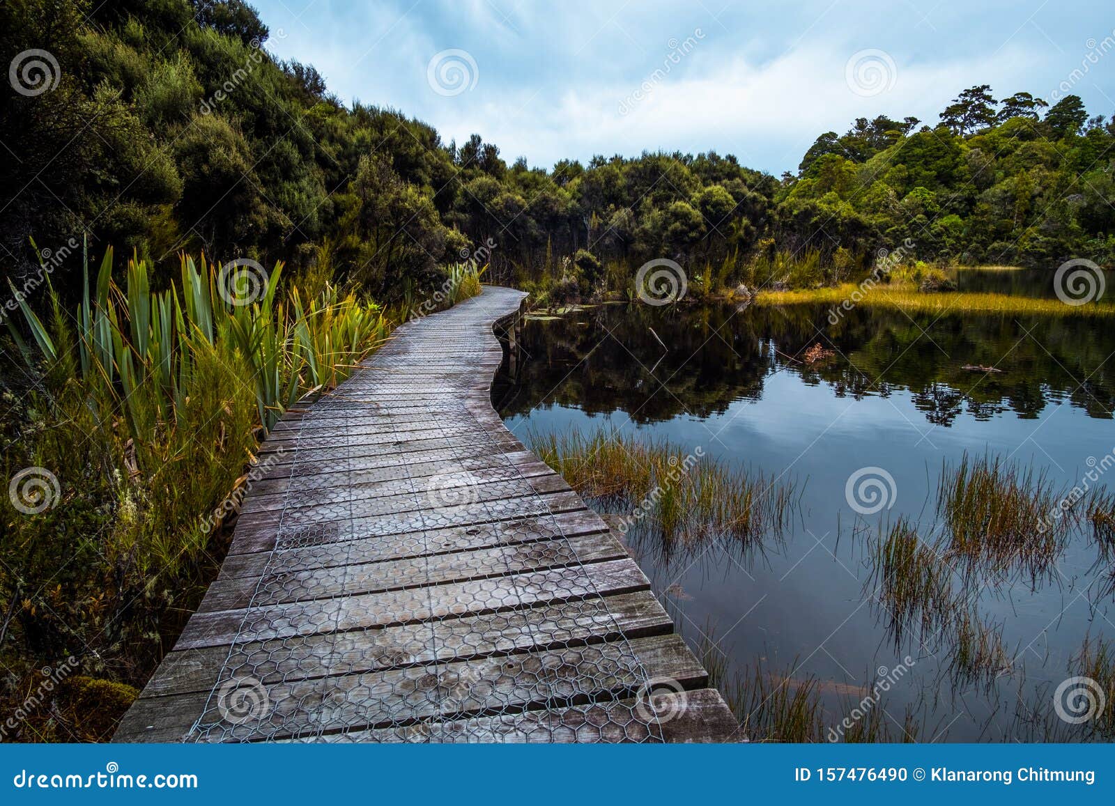 Walking Path beside a Beautiful Reflection Lake with Green Nature. I ...