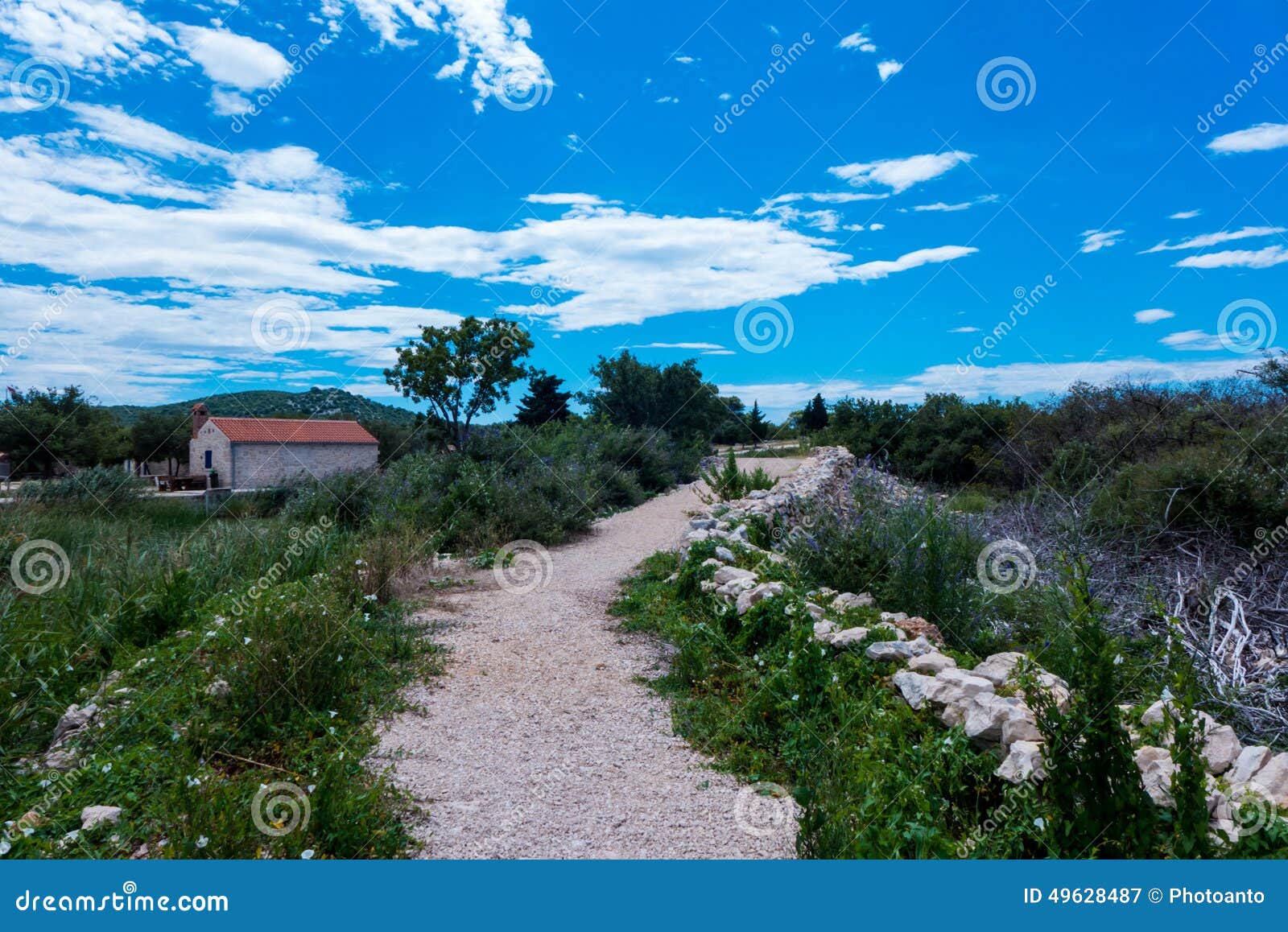 Walking path stock image. Image of scenic, landscape - 49628487