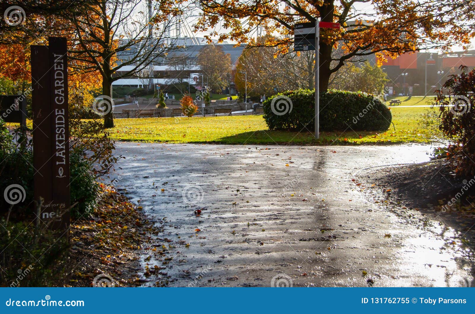Walking Path on a Bright and Rainy Day Editorial Image - Image of rainy ...