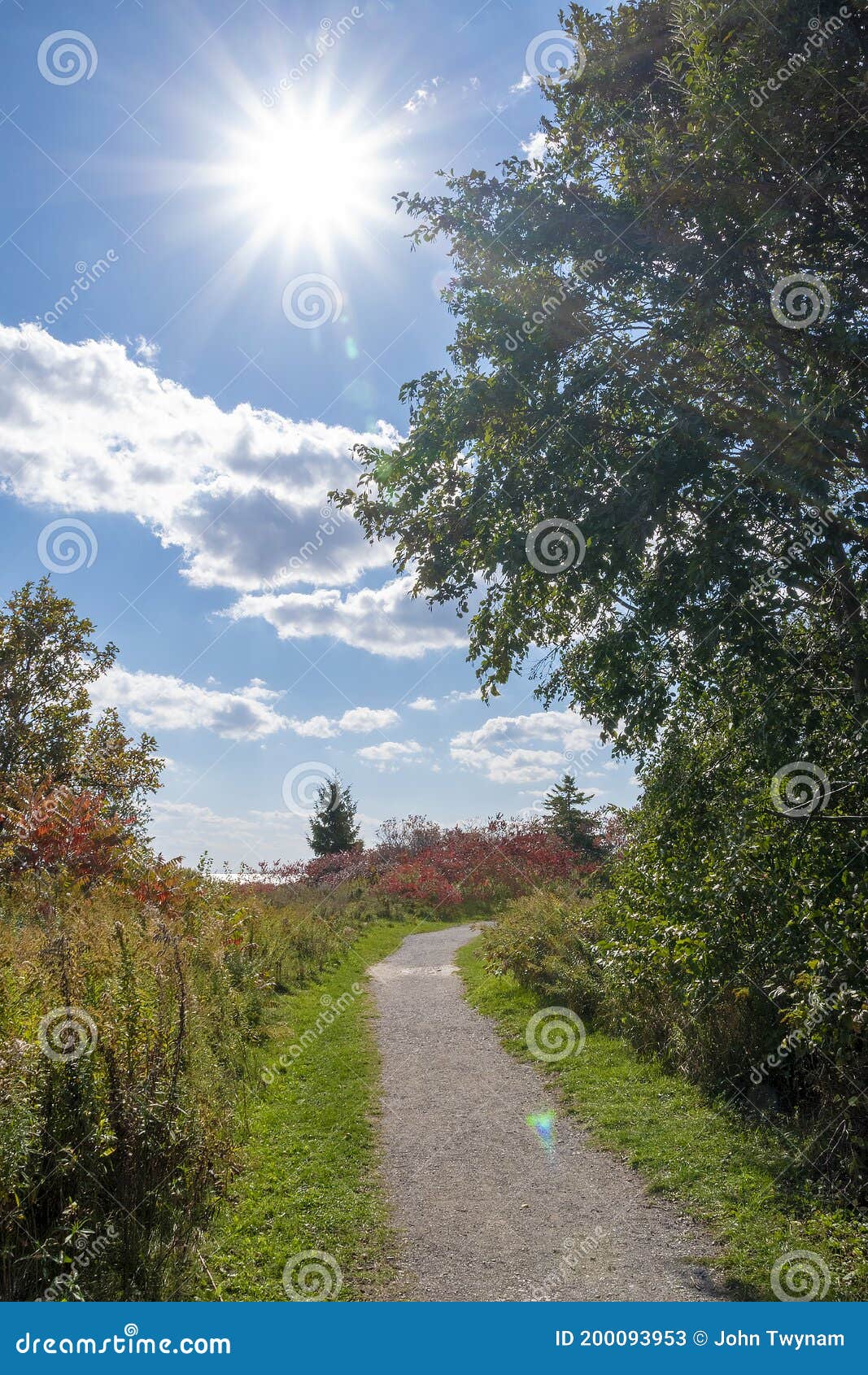 Fall Foliage Path stock image. Image of background, forest - 200093953