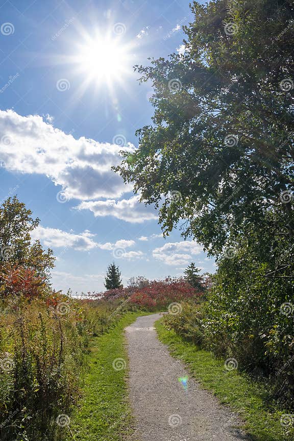 Fall Foliage Path stock image. Image of background, forest - 200093953