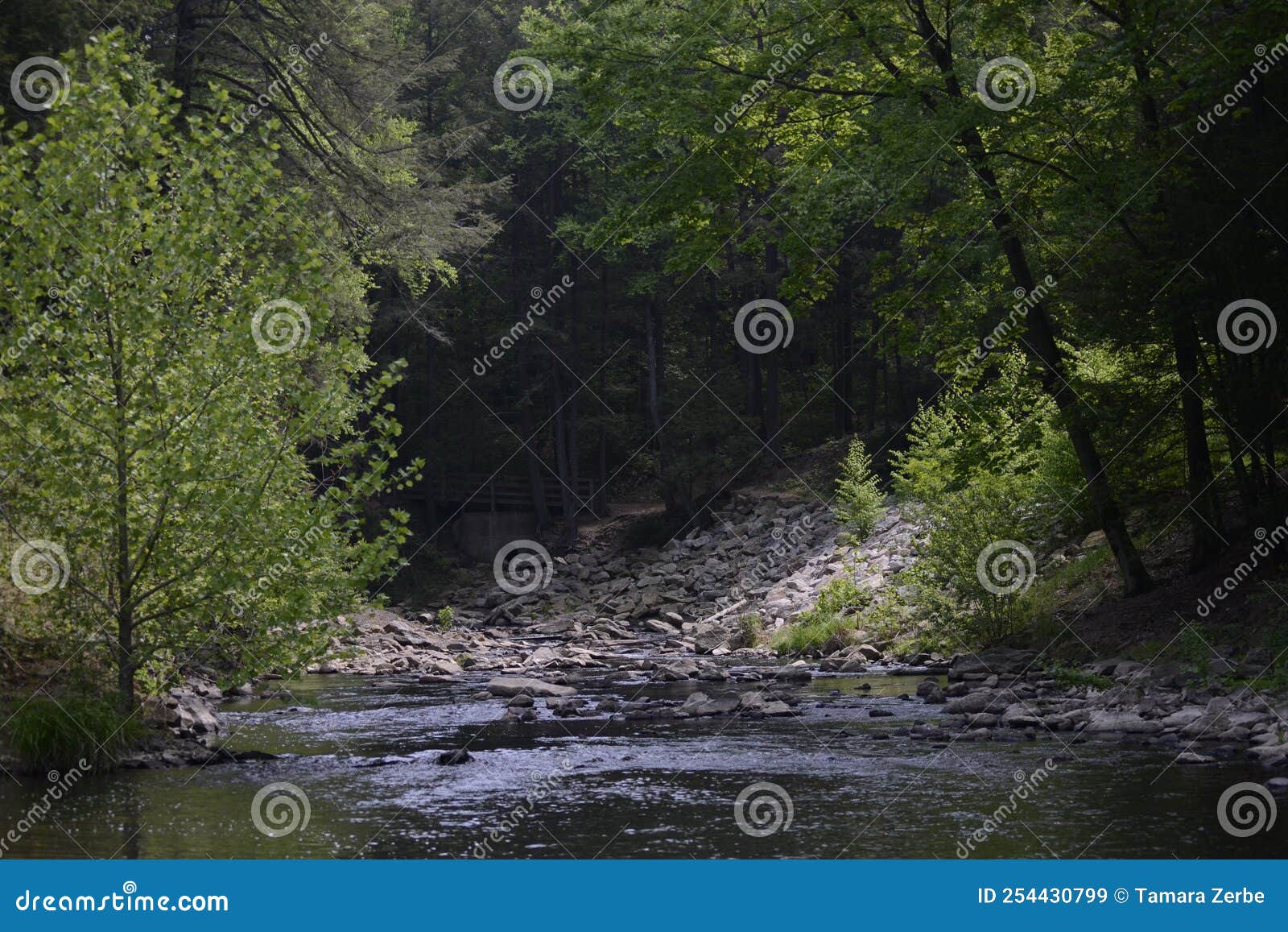 Walking Path in the Distance of the Stream Stock Image - Image of ...