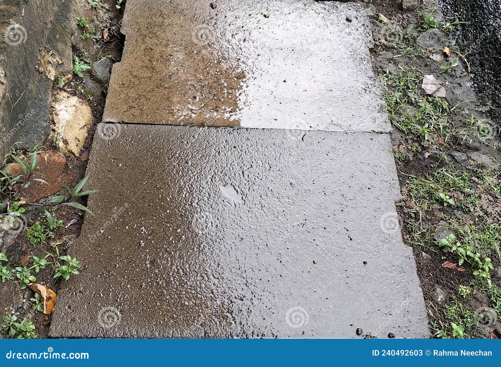Walking Path on a Drizzling Day Stock Image - Image of road, sand ...