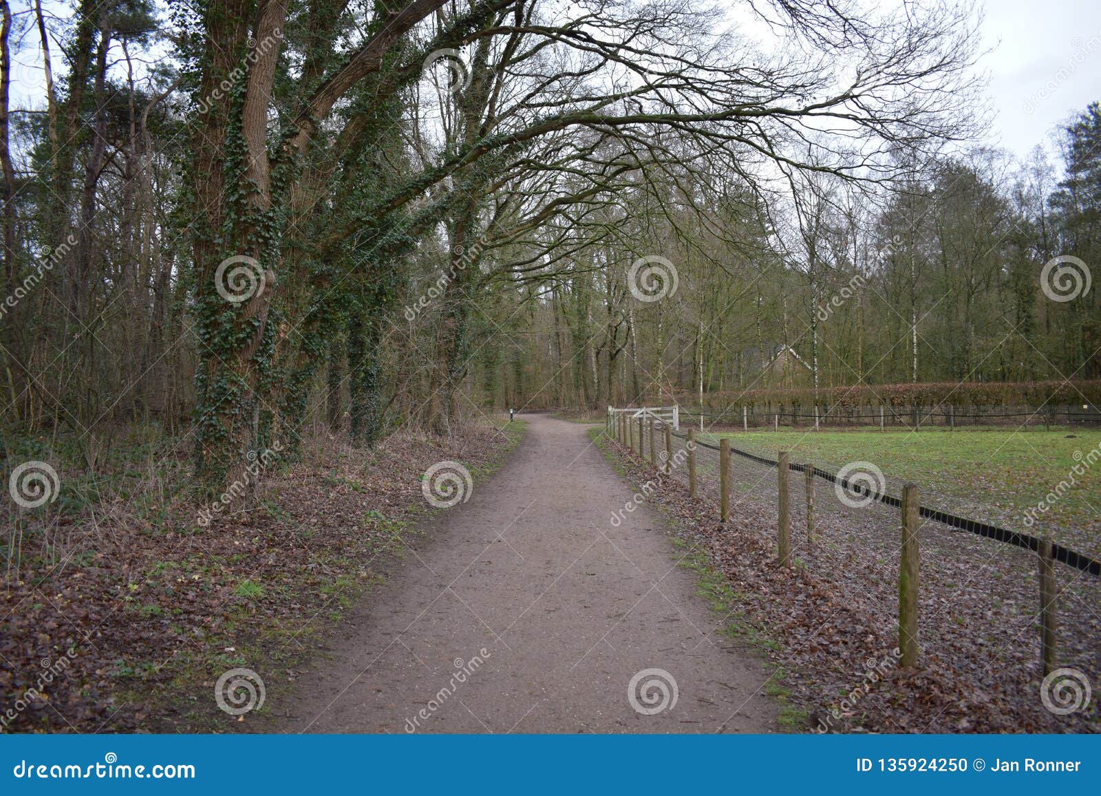 Walking Path in a Petting Zoo Stock Photo - Image of poles, trees ...