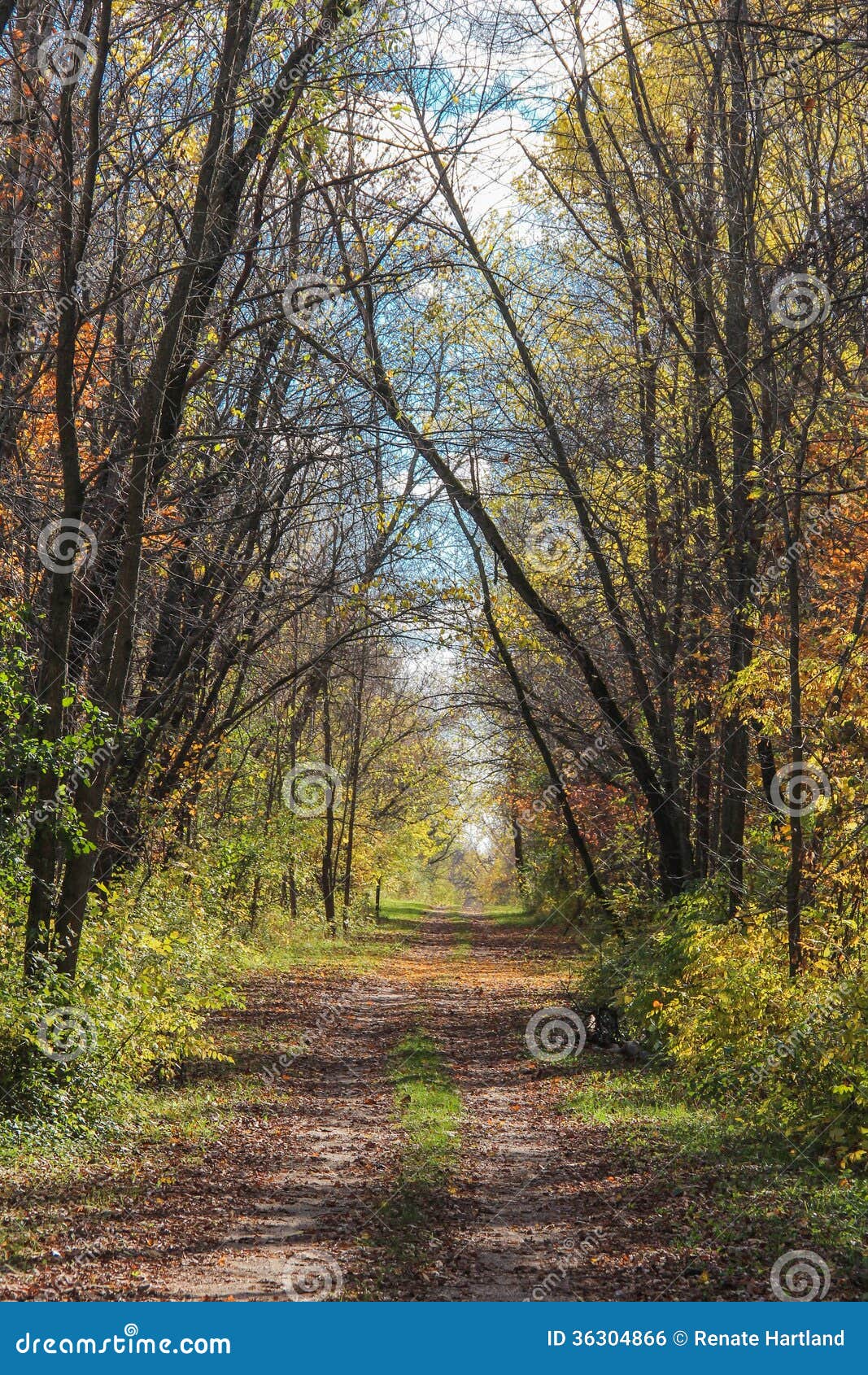 Walking Path in Fall stock photo. Image of color, quiet - 36304866