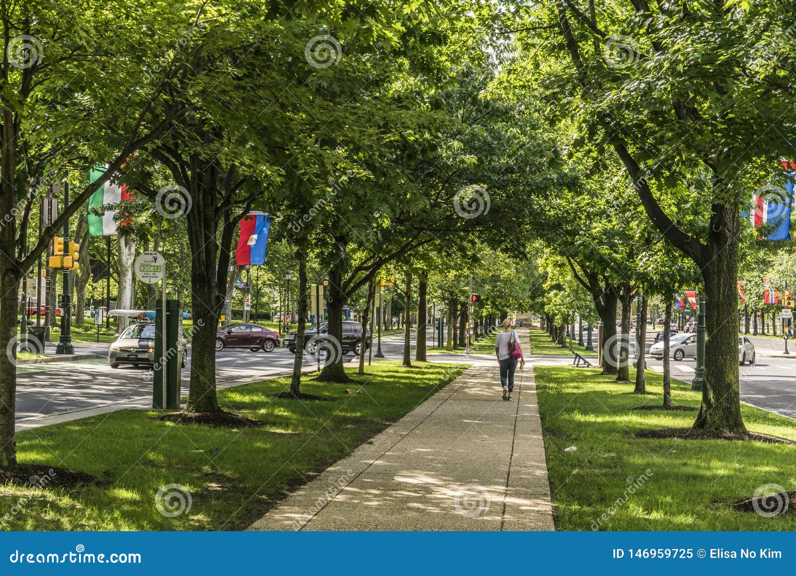Walking in the Path of Flags Stock Image - Image of green, countries ...
