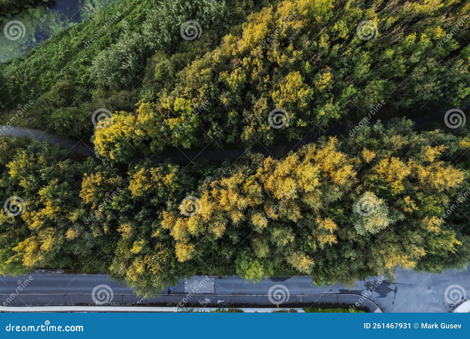 Walking Path in a Forest Park, Aerial Top Down View. Fall or Autumn ...