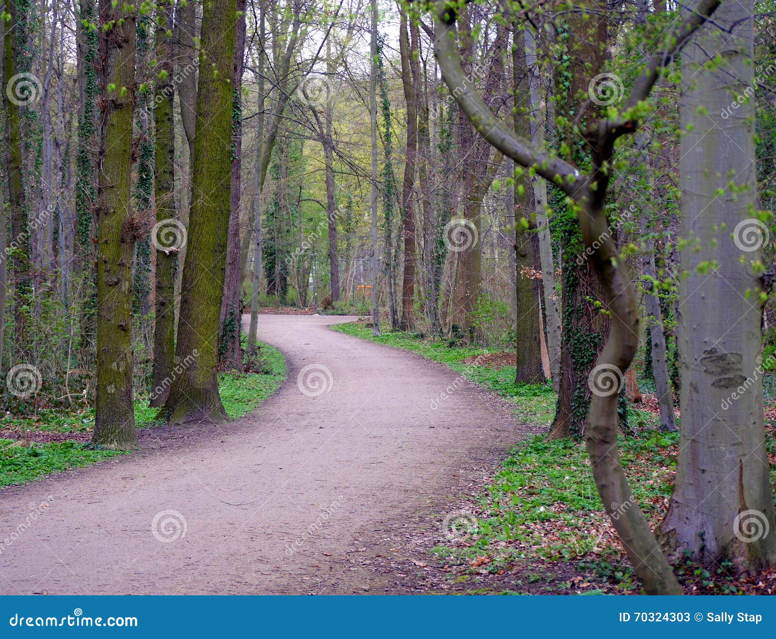 Walking Path in German Park Stock Image - Image of background, german ...