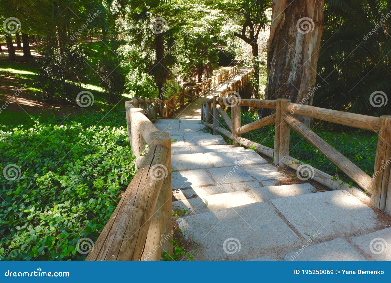 Walking Path Going Down into the Woods in Retiro Park, Madrid, Spain ...