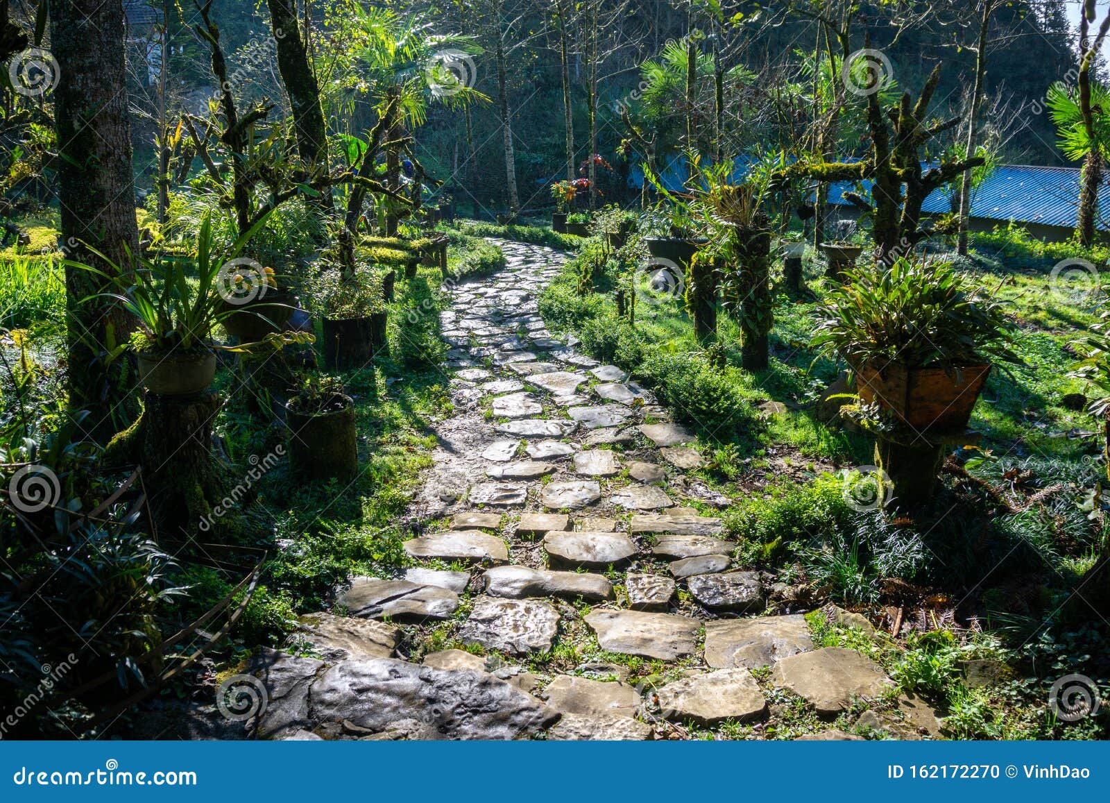 Walking Path in the Green Garden or Forest Stock Photo - Image of green ...
