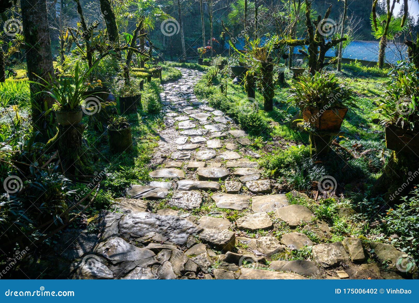 Walking Path in the Green Garden or Forest Stock Photo - Image of ...