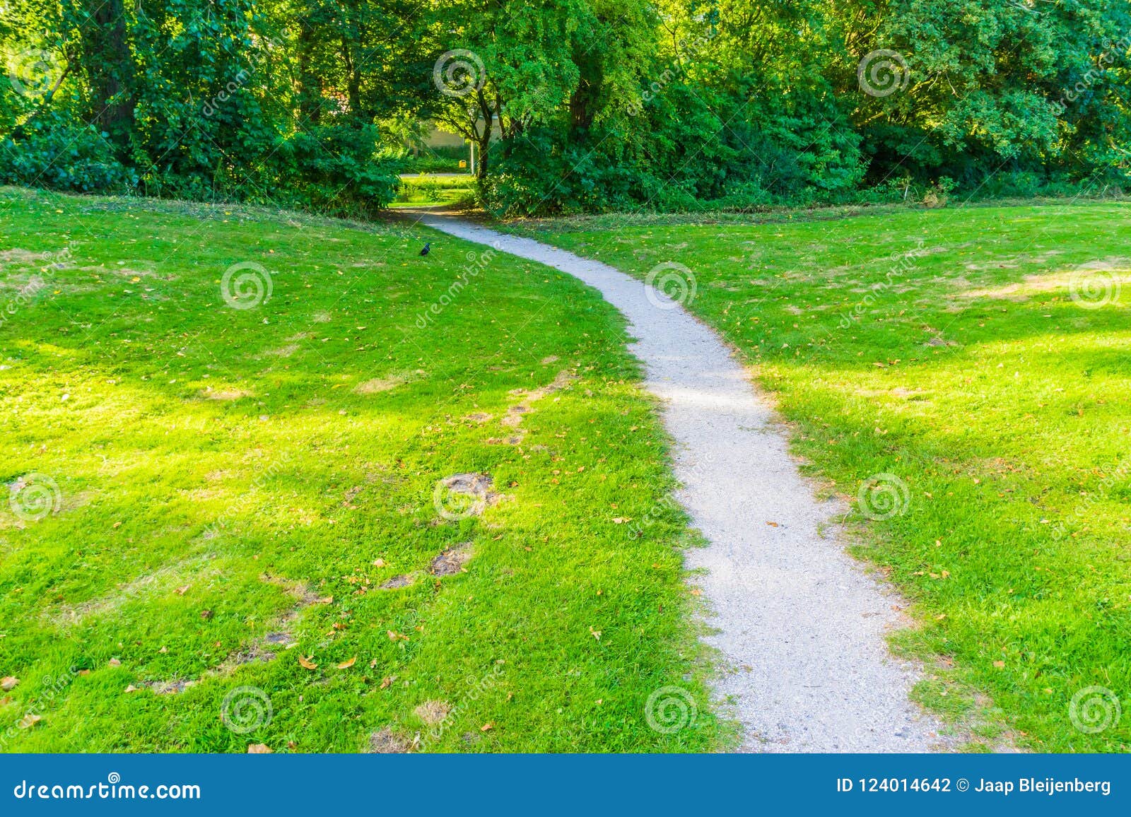Walking Path with Grass and Trees Park Landscape Stock Photo - Image of ...
