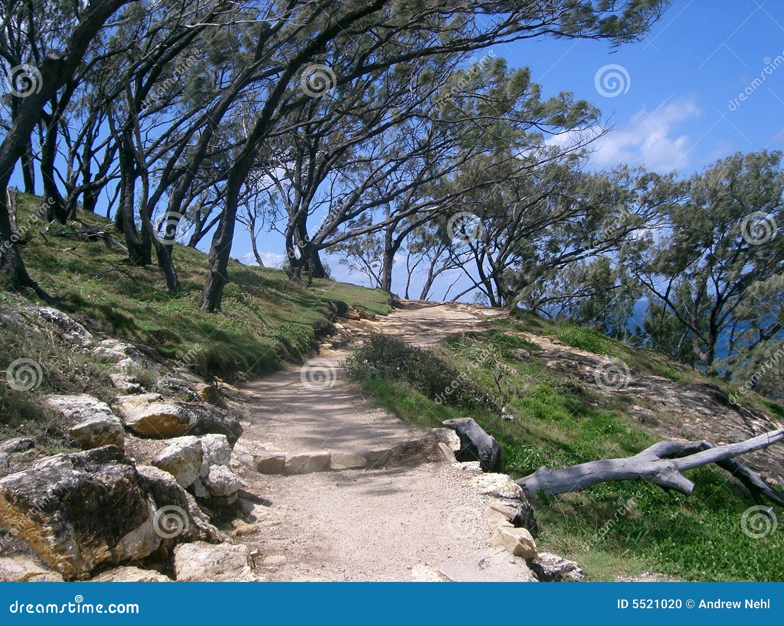 Walking Path, Headland Point Lookout Stradbroke is Stock Photo - Image ...