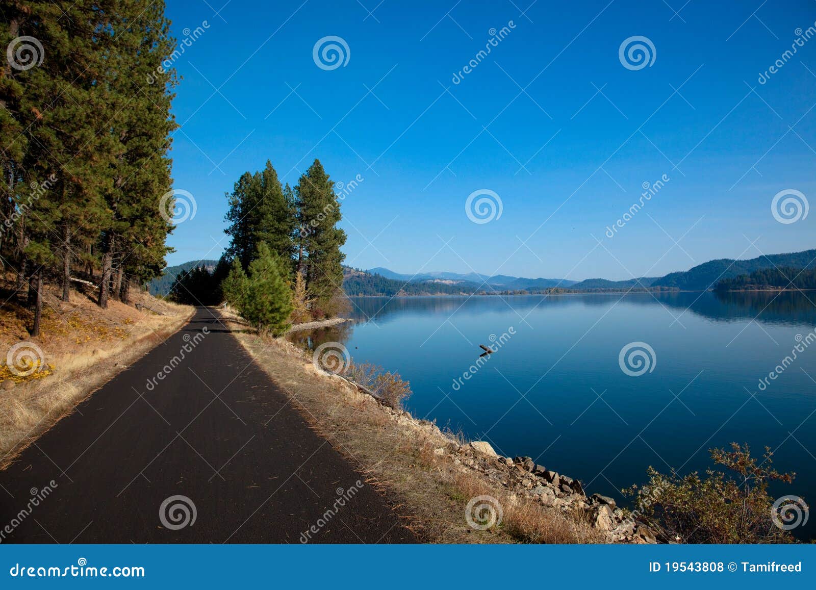 Walking Path by the Lake stock photo. Image of summer - 19543808