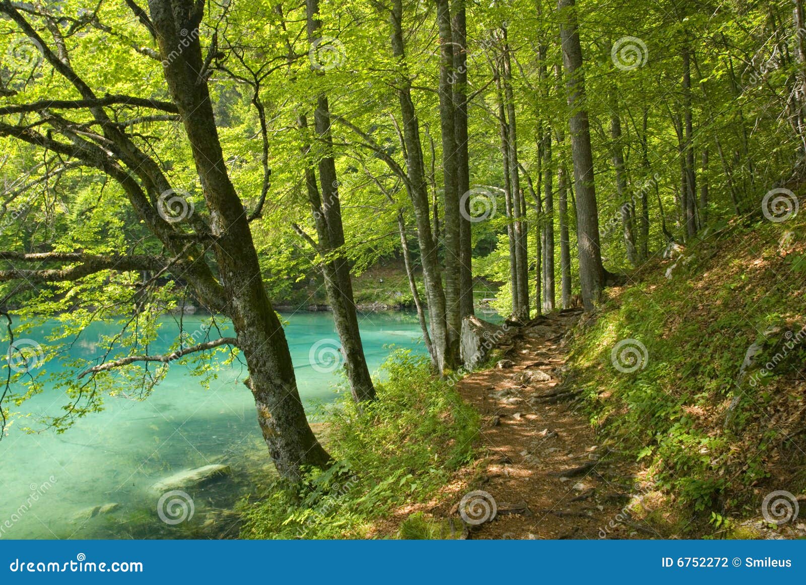 Walking path by the lake stock photo. Image of leaves - 6752272