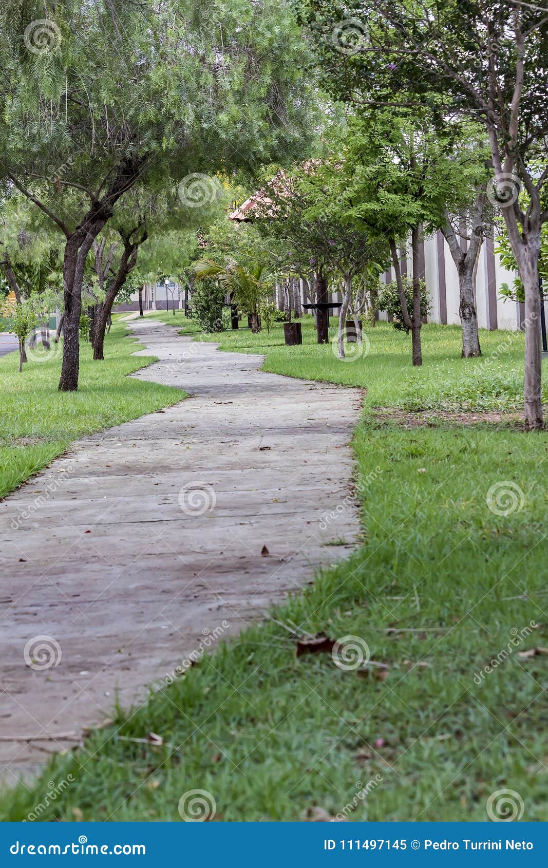 Walking Path between Lawn and Trees Stock Image - Image of country ...