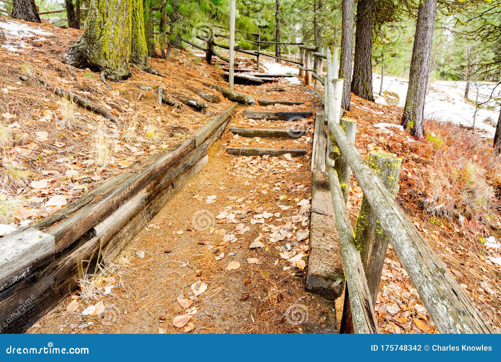 Walking Path Leads through a Forest with a Handrail Made of Logs Stock ...