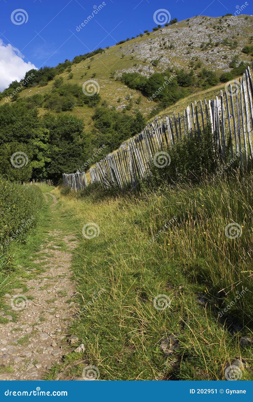Walking Path Lined by Picket Fence in the English Peak District Stock ...