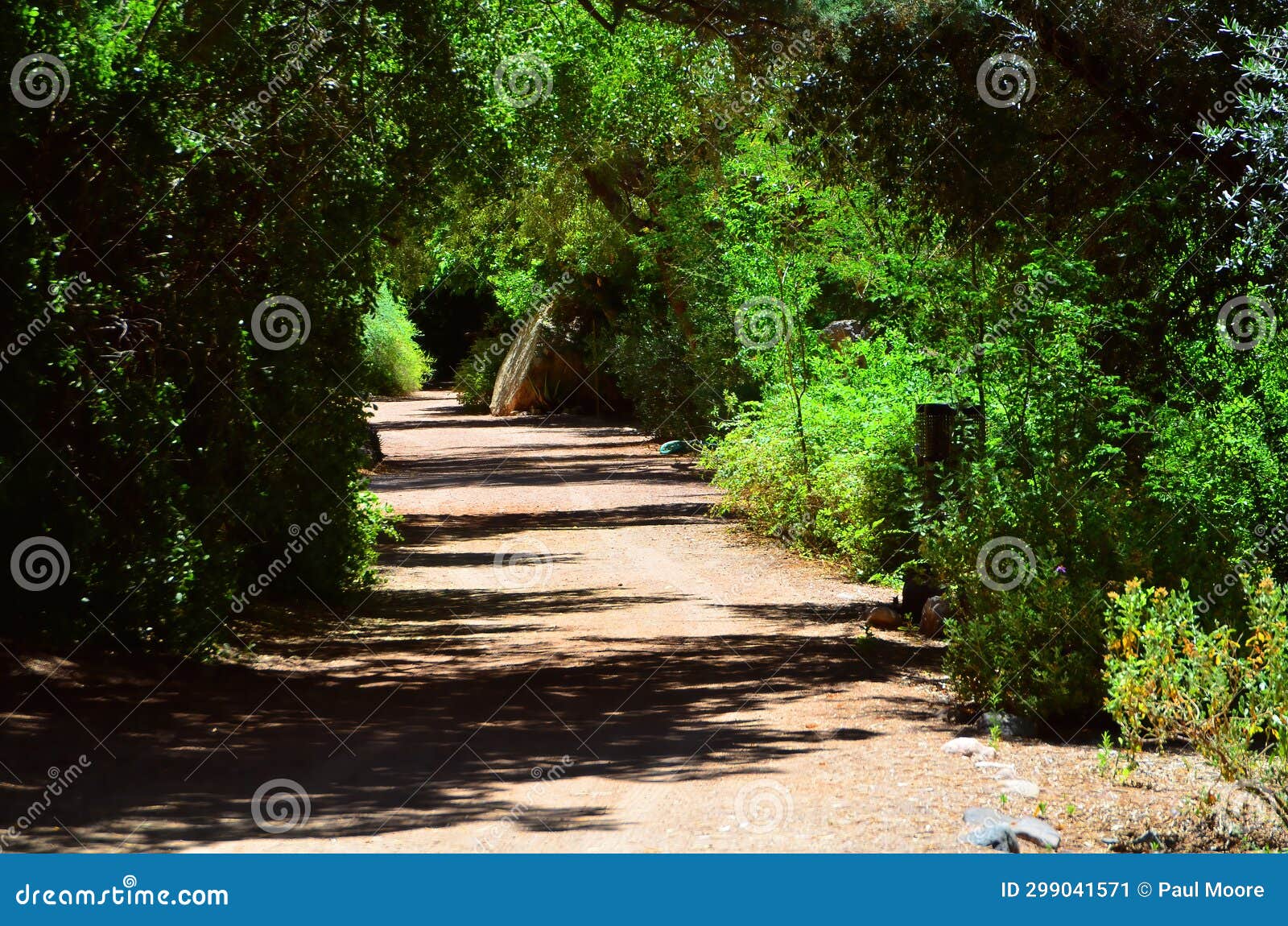 Lush Garden Path stock image. Image of lush, wild, hawaii - 299041571