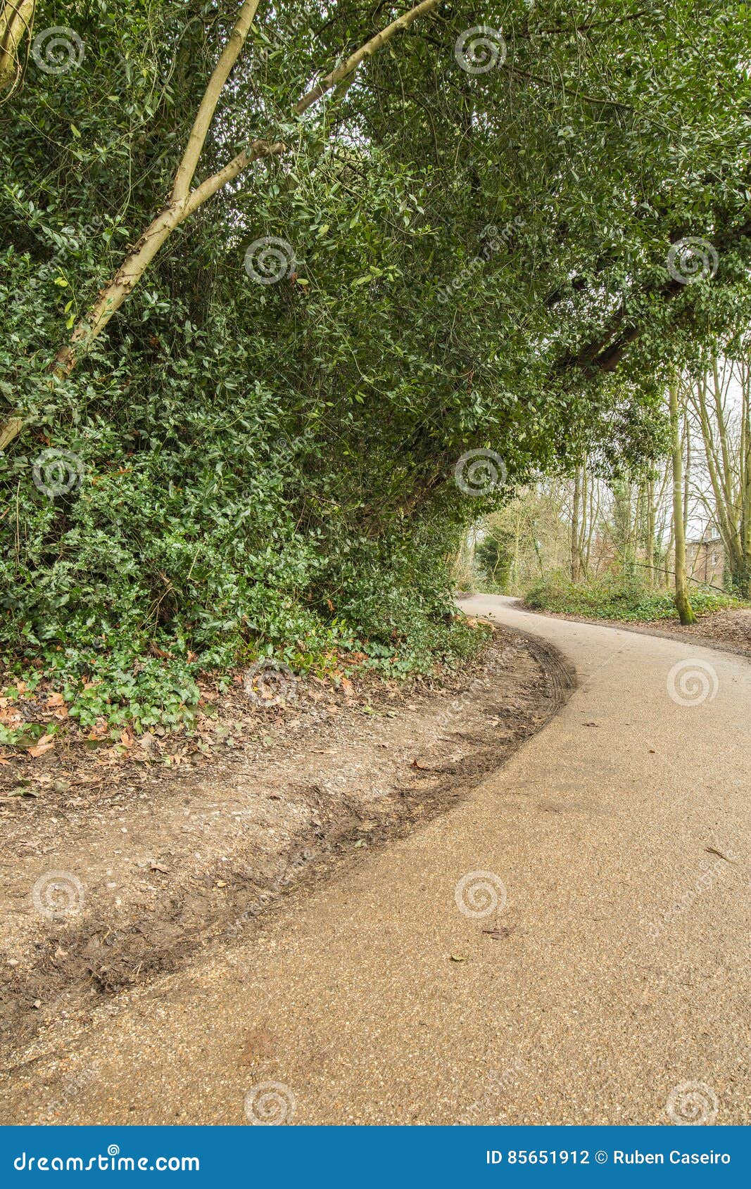 Walking Path Made of Old Tar in a Park Stock Photo - Image of road ...