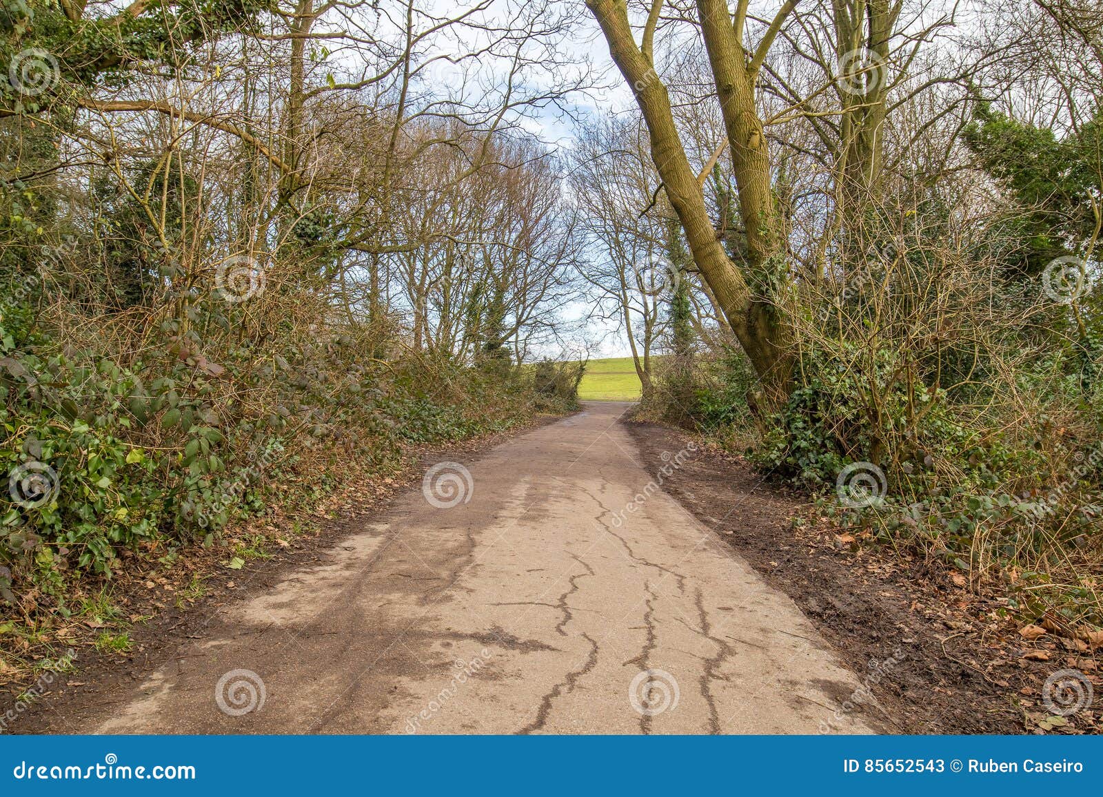 Walking Path Made of Old Tar in a Park Stock Image - Image of beautiful ...