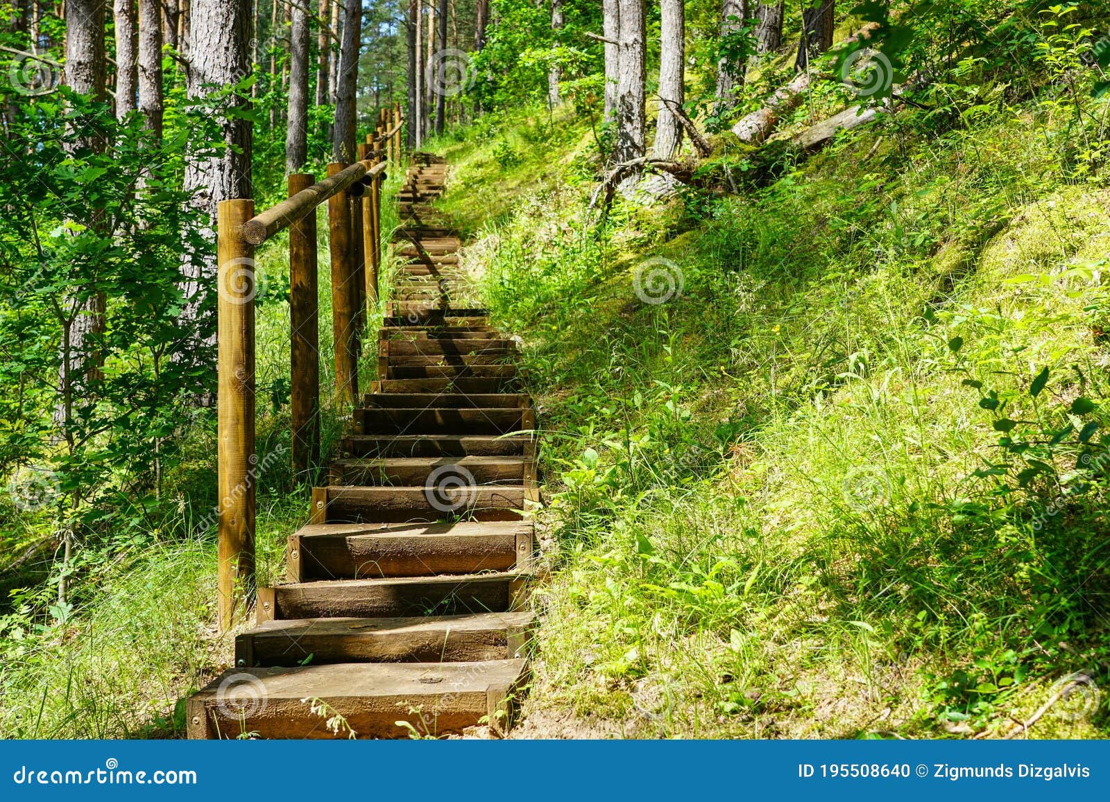 A Walking Path Made of Wooden Steps in a Forest in a Hilly Area Stock ...
