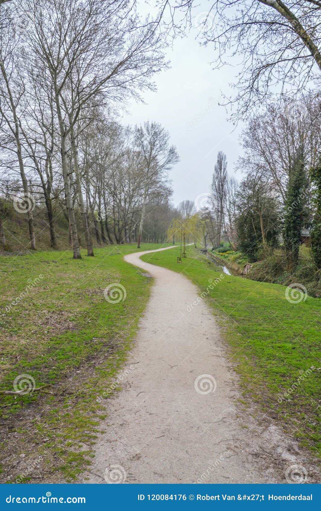 Empty Walking Path stock photo. Image of outside, forest - 120084176
