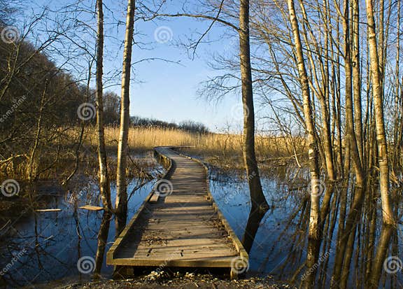Walking path over water stock image. Image of nature, grass - 7339735