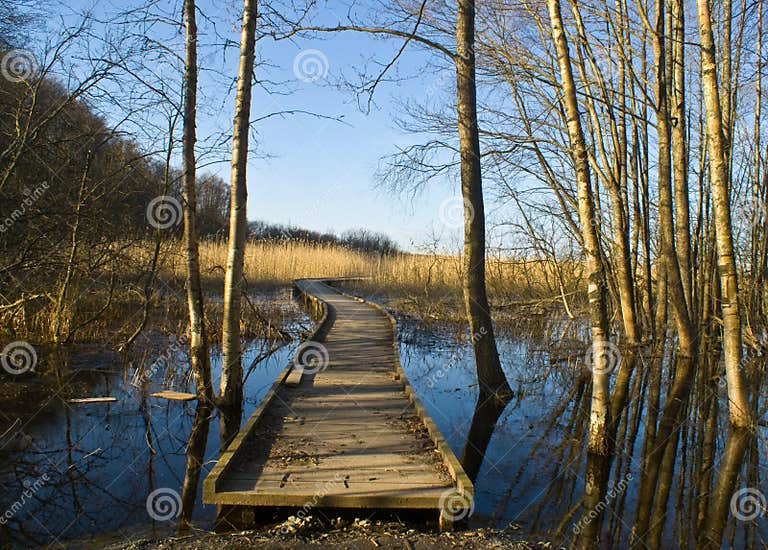 Walking path over water stock image. Image of nature, grass - 7339735